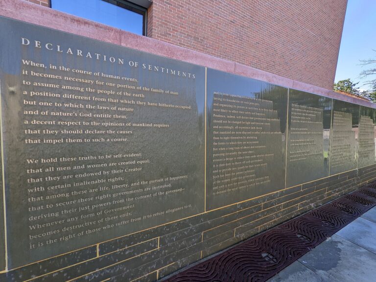 declaration of sentiments - The Frugal Humanist